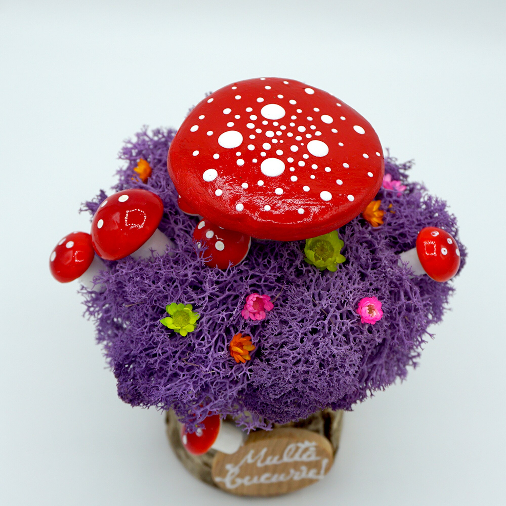 Aranjament floral cu licheni mov, mesaj, poienita cu ciupercute si ...