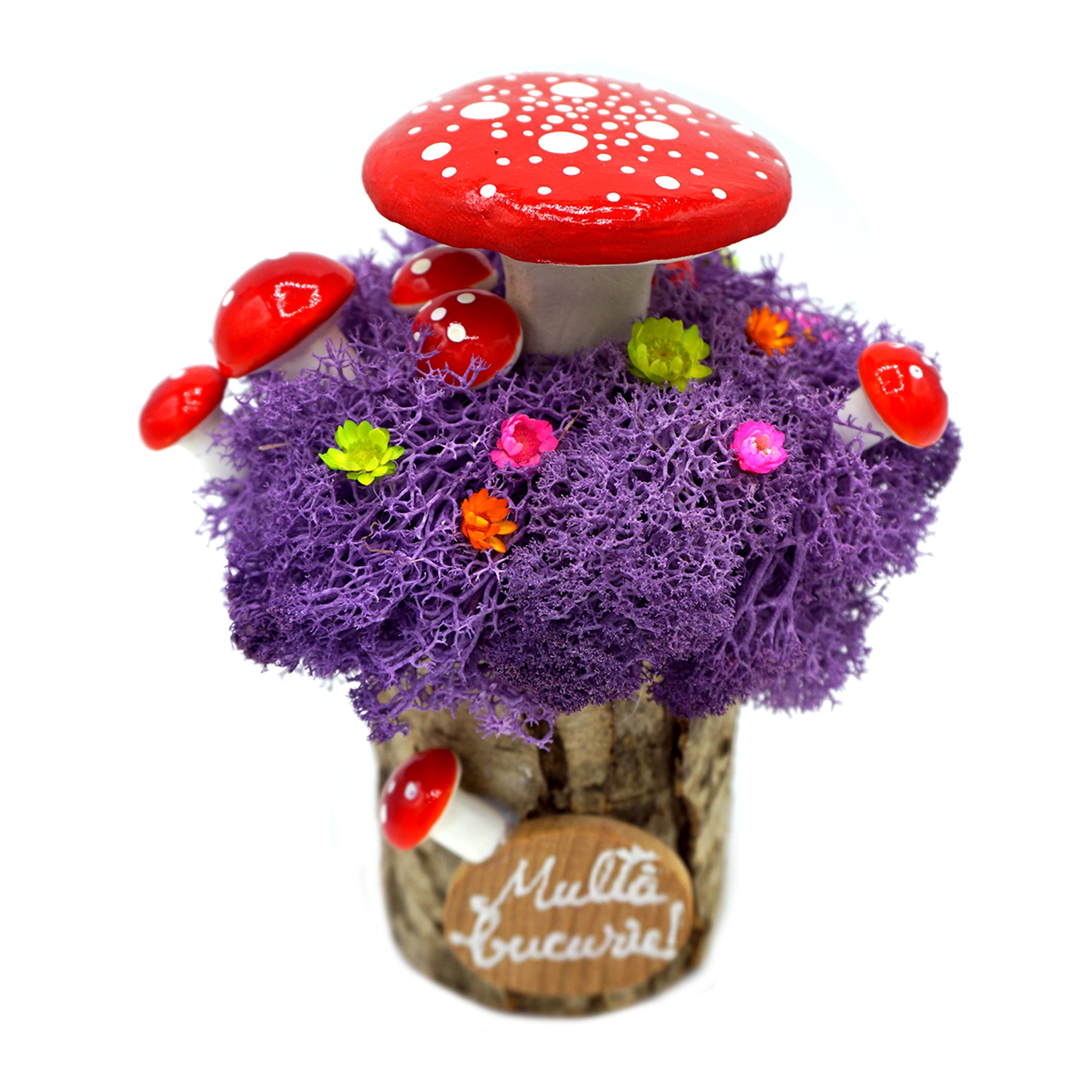 Aranjament floral cu licheni mov, mesaj, poienita cu ciupercute si ...