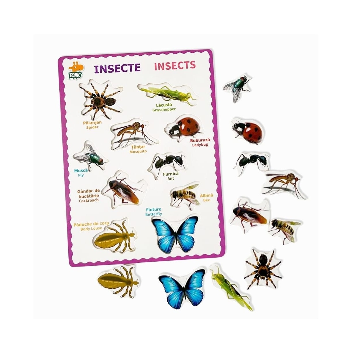 Puzzle din lemn 3D, 11 piese, Insecte in limba romana, 30 cm - eMAG.ro