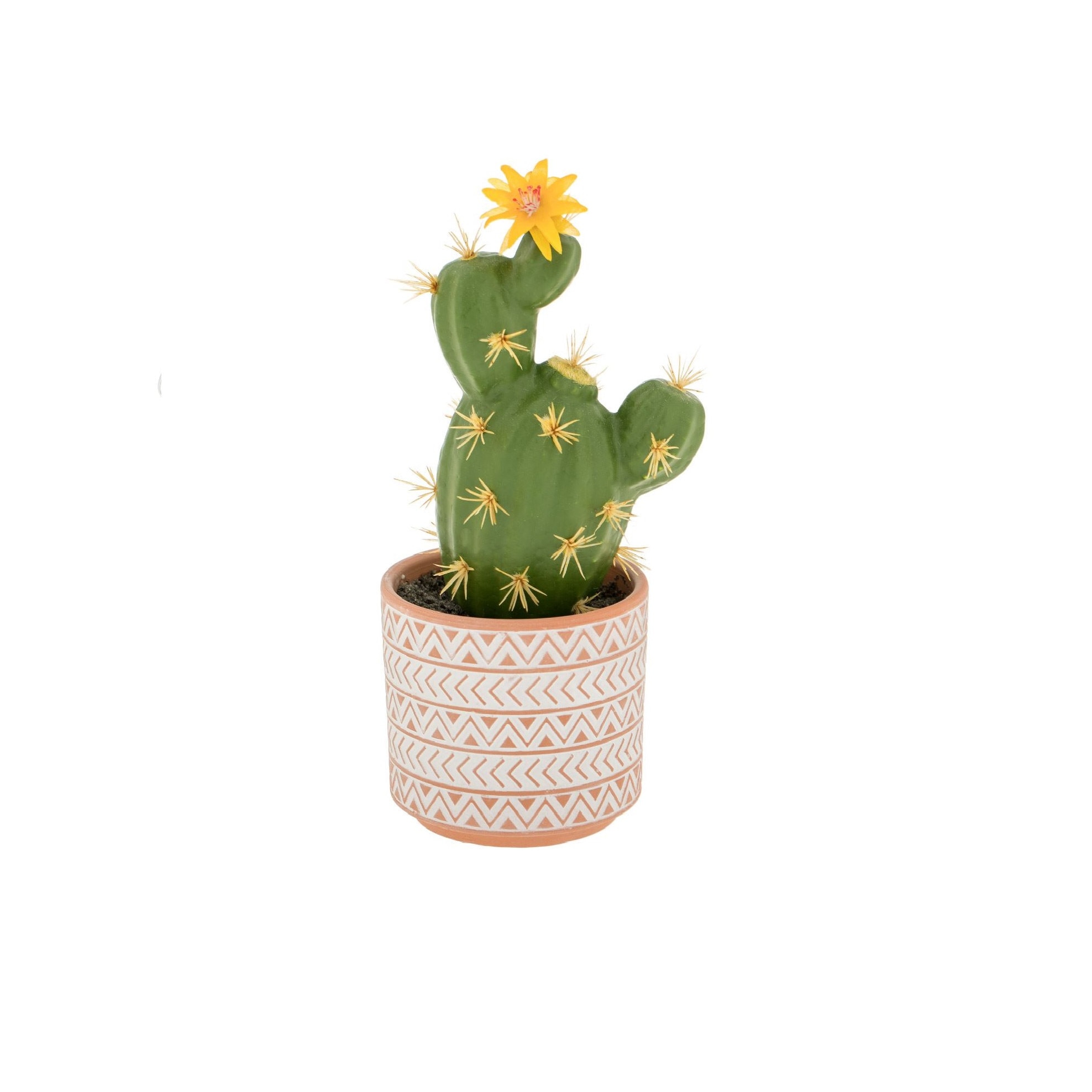 Ghiveci - Cactus cu flori, Ceramica, 27 cm, Multicolor - eMAG.ro