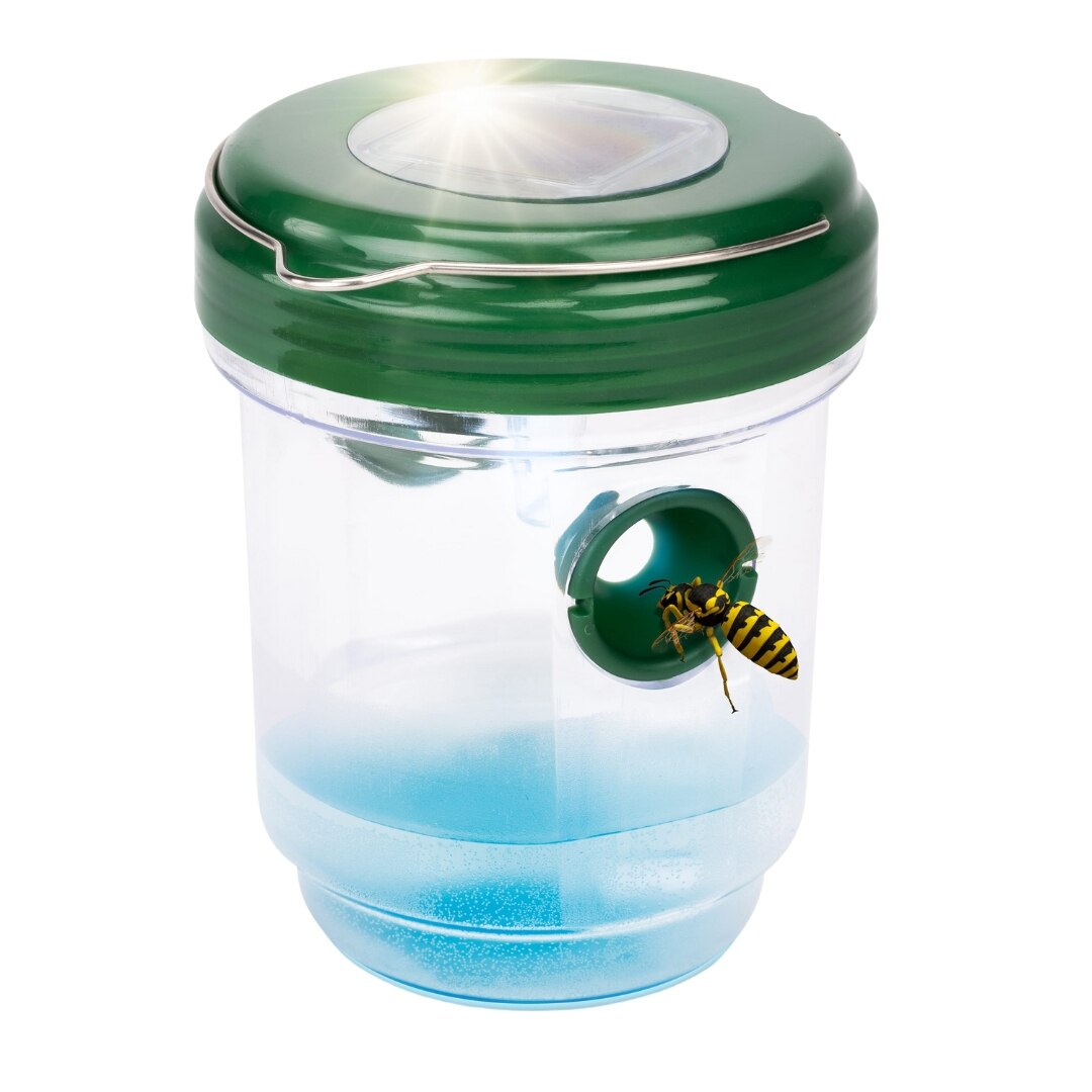 Capcana solara anti viespi, anti gargauni, anti tantari, functionare zi ...