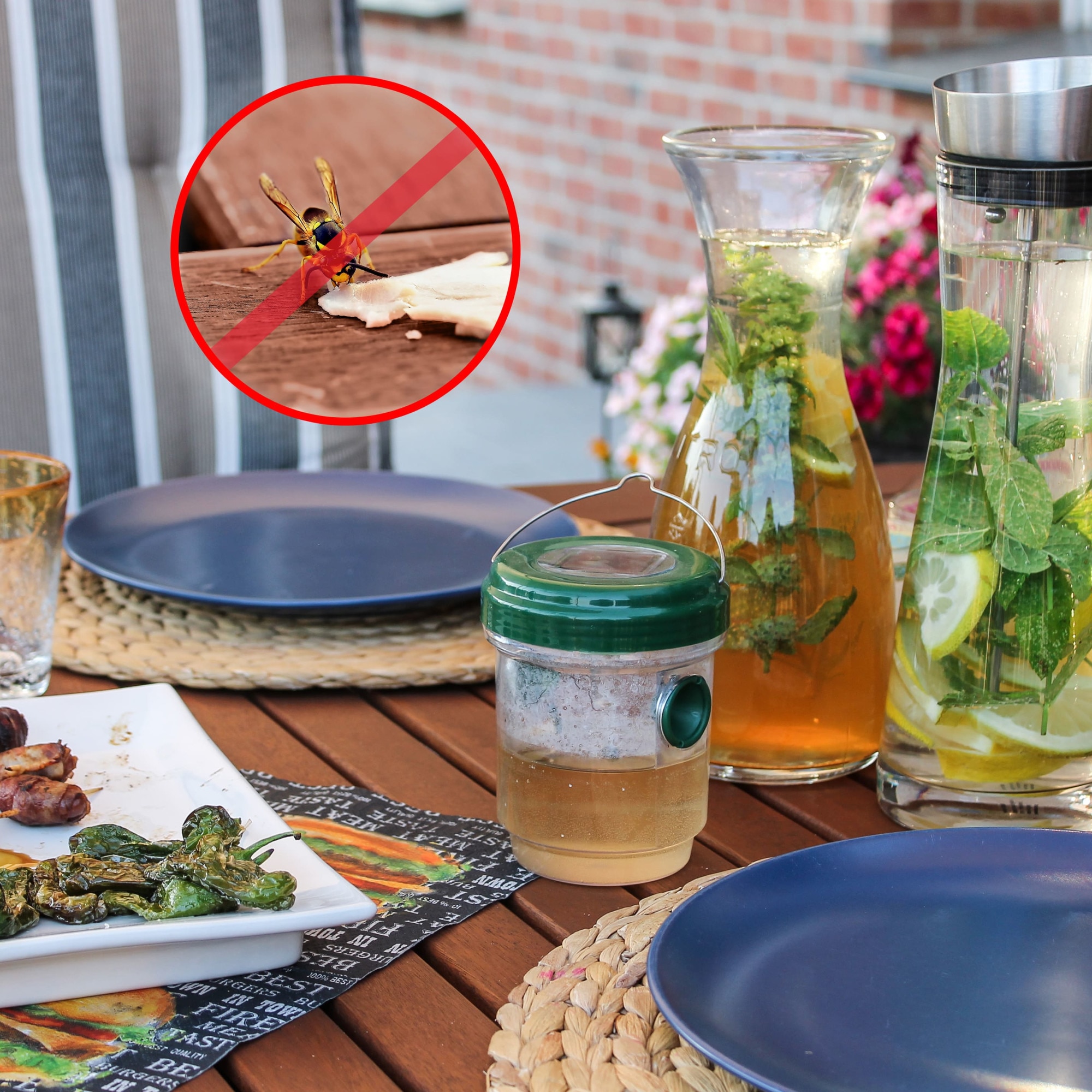 Capcana solara anti viespi, anti gargauni, anti tantari, functionare zi ...