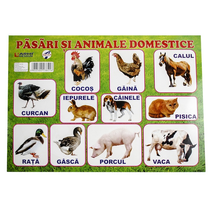Plansa pasari si animale domestice A4 din carton cu lacuire UV - eMAG.ro