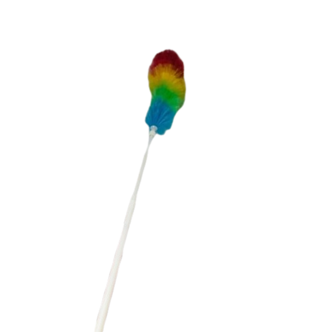 Pamatuf pentru praf extensibil, 75 cm - 1m, Multicolor - eMAG.ro