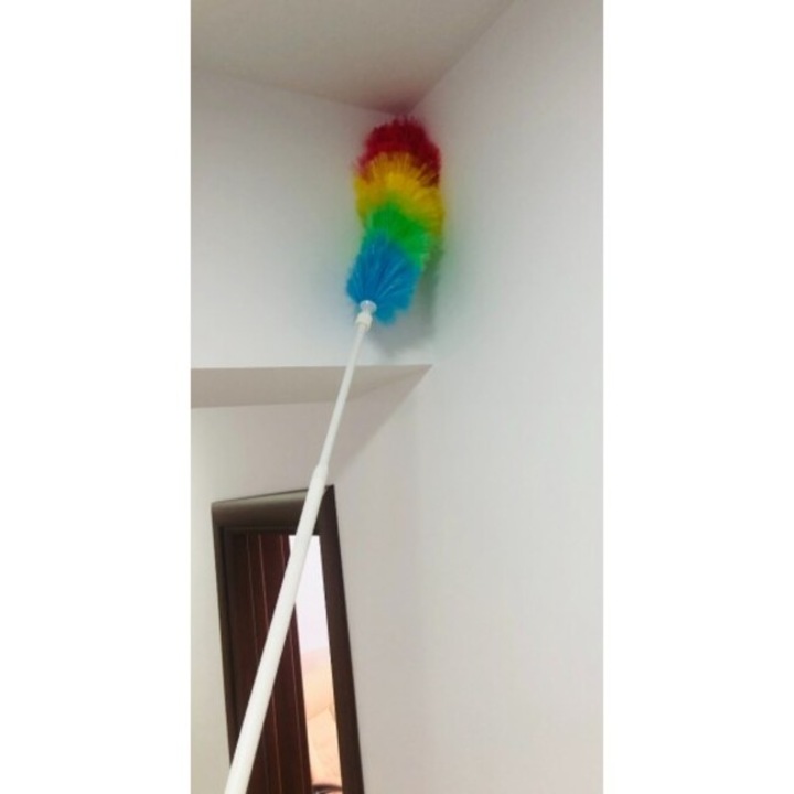 Pamatuf pentru praf extensibil, 75 cm - 1m, Multicolor - eMAG.ro