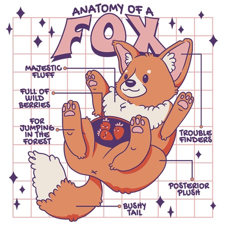Sticker Cu Mesaj Amuzant In Engleza Anatomy Of A Fox, Stele, Cadru ...