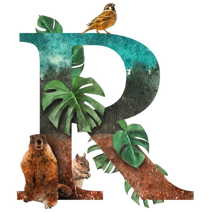 Sticker Cu Litera, R, Pasare, Veverita, Castor, cu Margini Albe, PVC ...