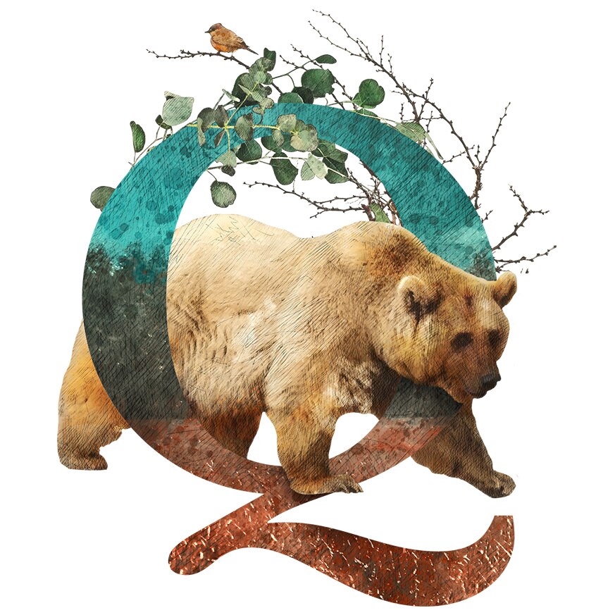 Sticker Cu Litera, Q, Urs, Vrabie, cu Margini Albe, PVC Vinyl 90 cm ...