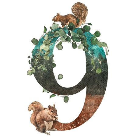 Sticker Cu Cifra, 9, Veverite, Natura, Animale, Frunze, cu Margini Albe ...