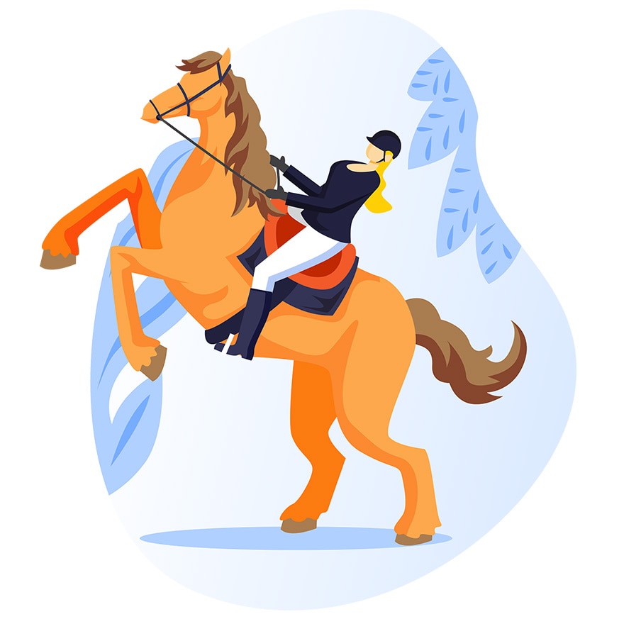 Sticker Cu Cal, Calarie, Calaret, cu Margini Albe, PVC Vinyl 10 cm ...