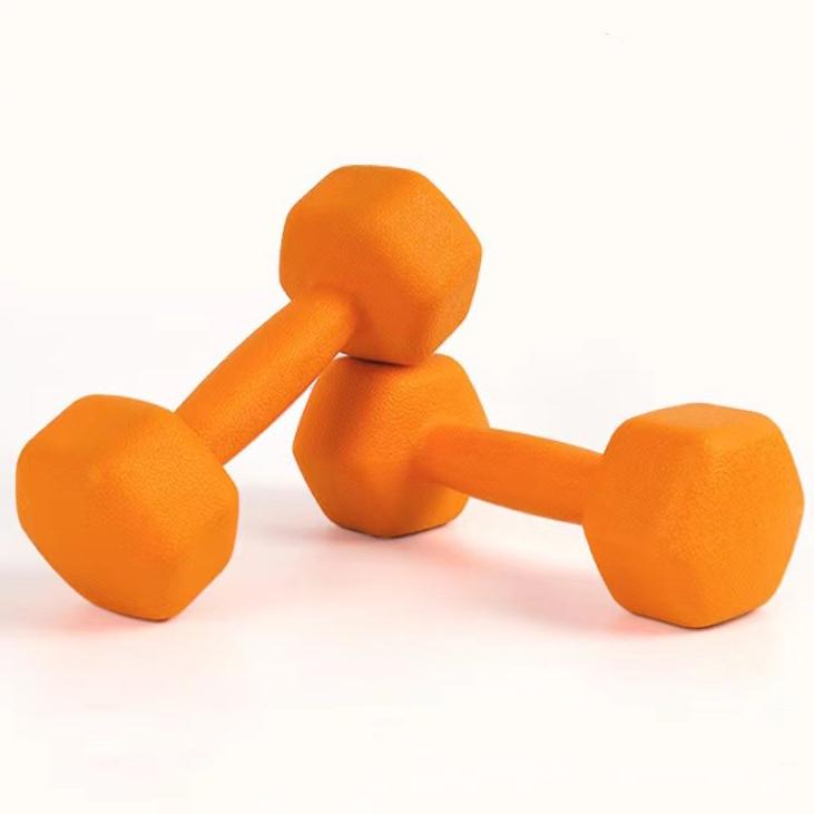 Set gantere FitTronic 2x1 kg HGR2x1 - eMAG.ro