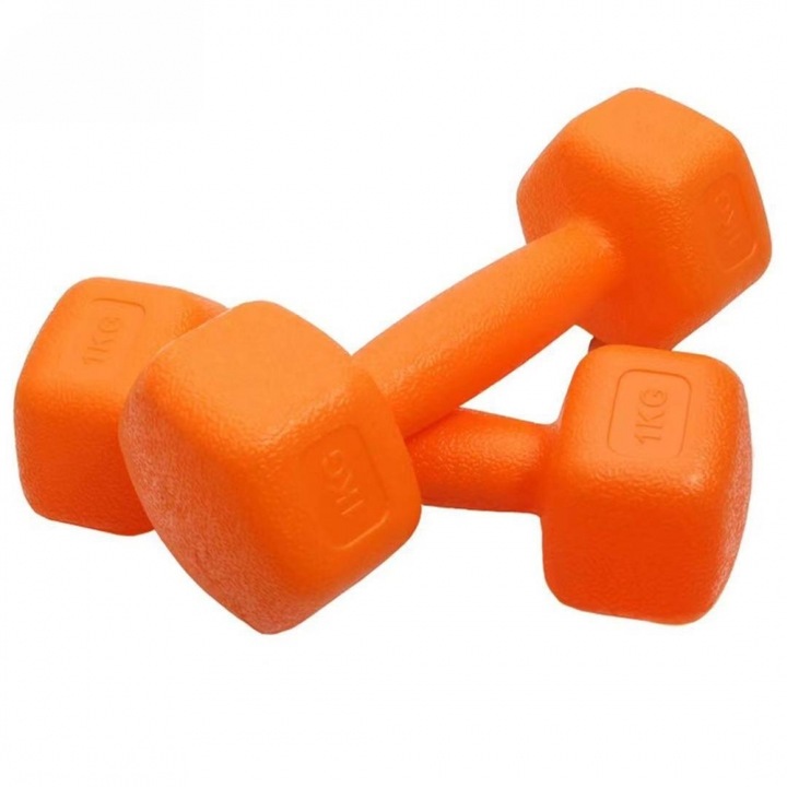 Set gantere FitTronic 2x1 kg HGR2x1 - eMAG.ro