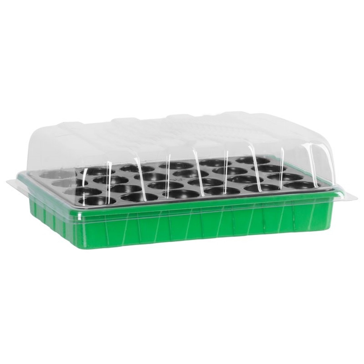 Tava pentru rasaduri cu capac din plastic transparent, 24 alveole ...