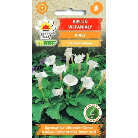 Datura splendid seminte ALBE 0.3g FLORI PARFANTE EXCLUSIVE - eMAG.ro