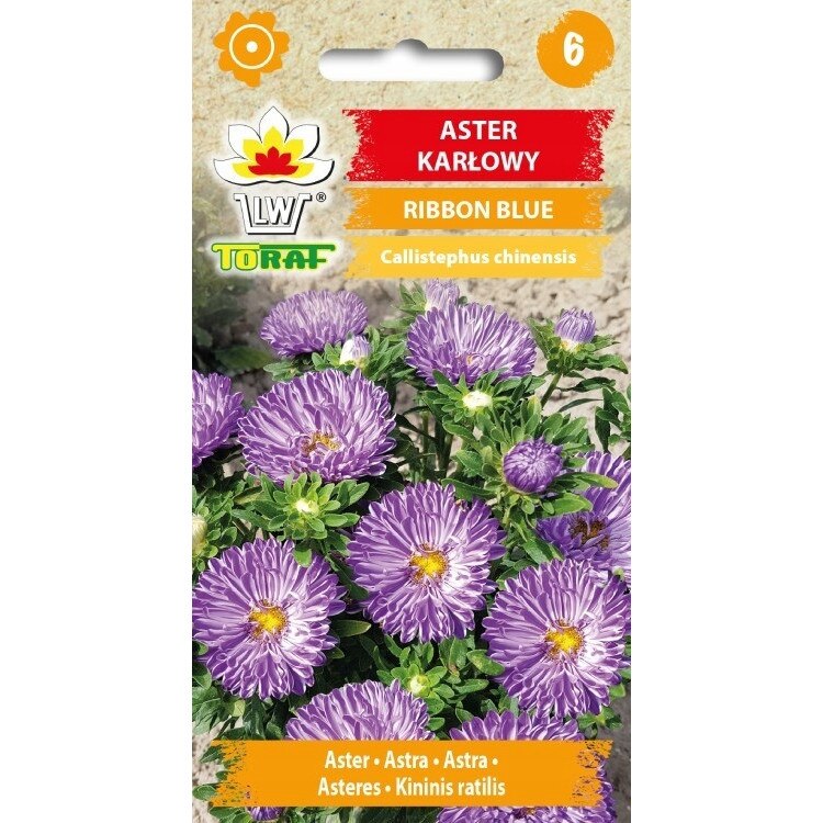 Seminte de Aster pitic Toraf, Ribbon Blue, 0.5g - eMAG.ro