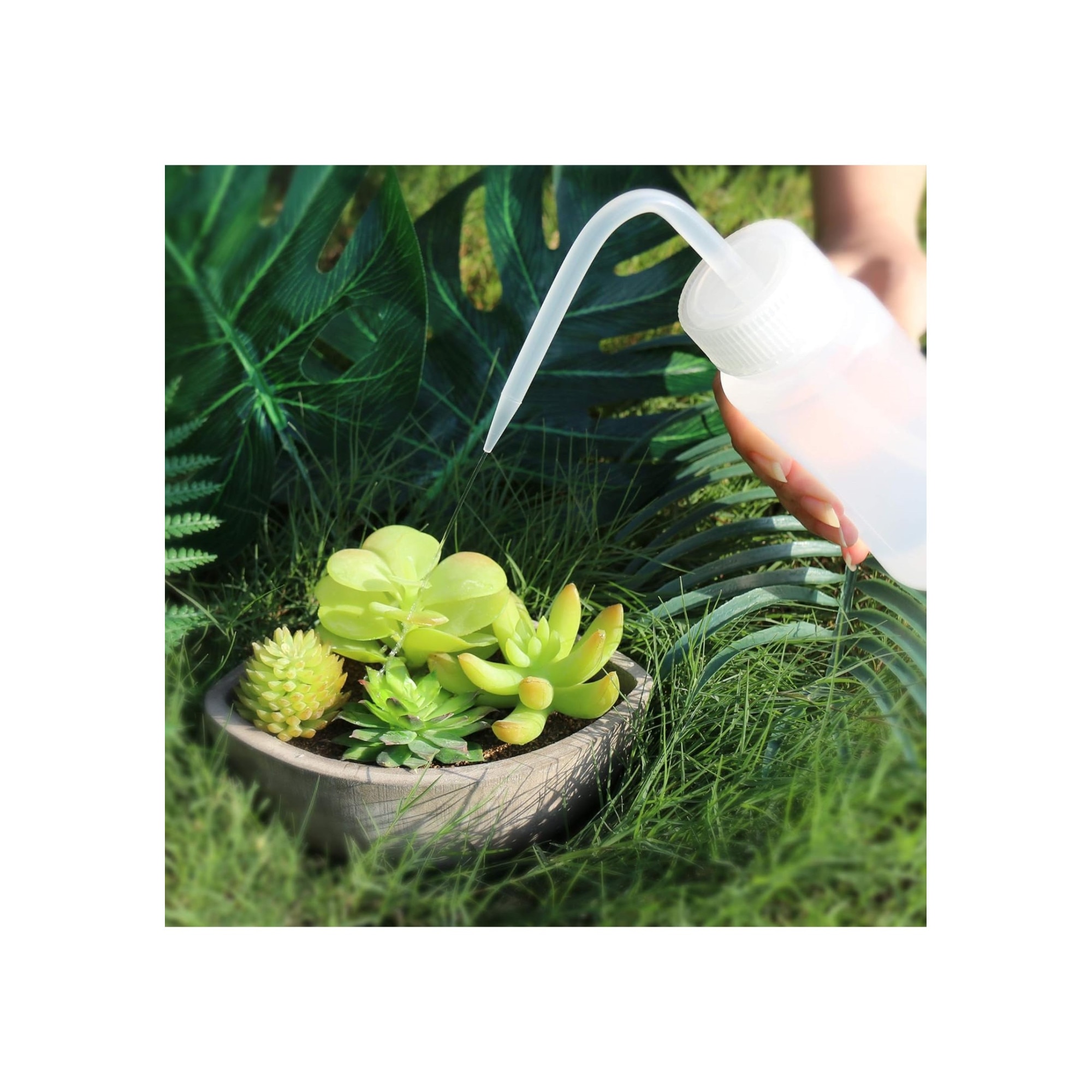 Recipient apa pentru curatare gene, plante, uz medical, 4 bucati, 500 ...