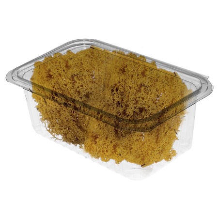 Licheni stabilizati 150g 0105**K, Galben intens - eMAG.ro