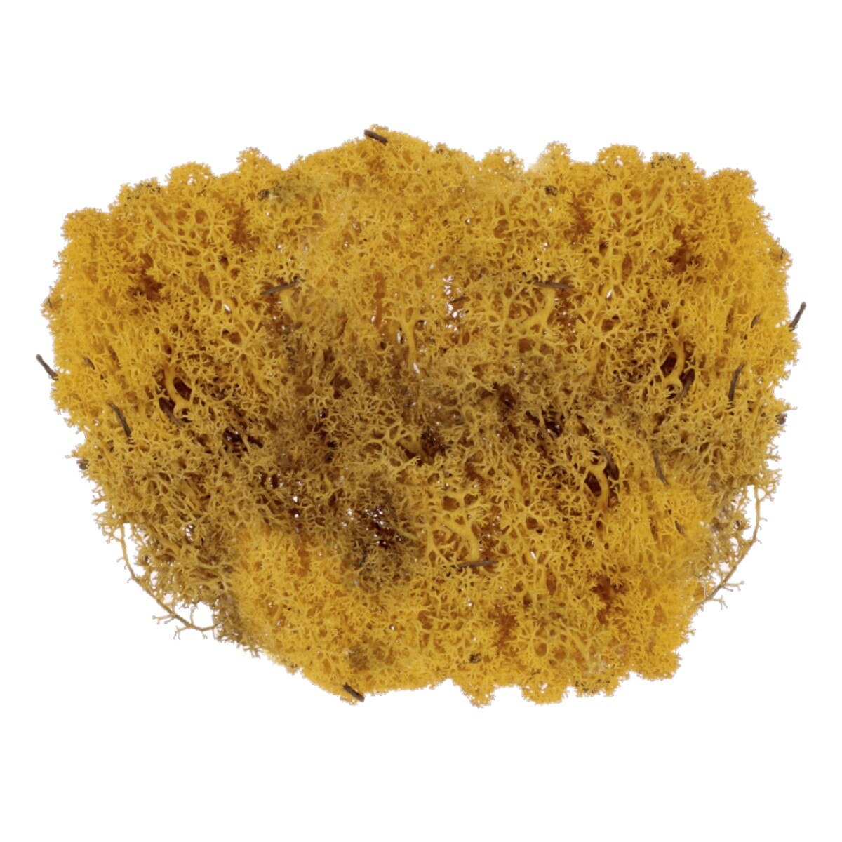 Licheni stabilizati 150g 0105**K, Galben intens - eMAG.ro