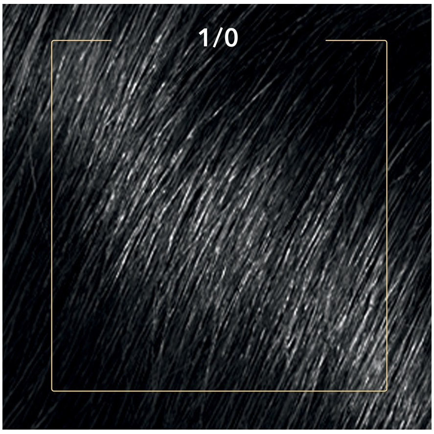 Vopsea de par permanenta Color Perfect 1/0 Negru Intens, 135ml - eMAG.ro