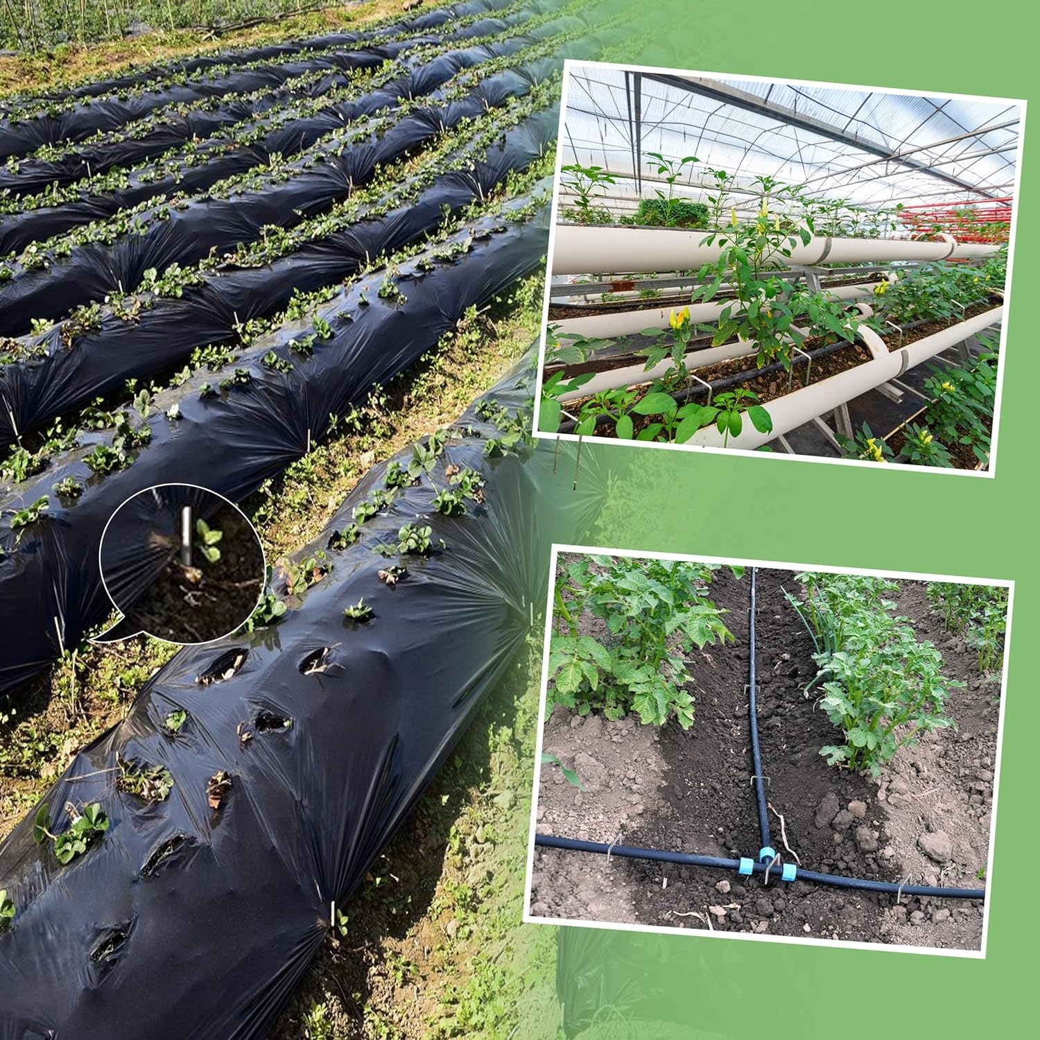 Set 50 tarusi gradina, Otel, 15cm, Argintiu - eMAG.ro