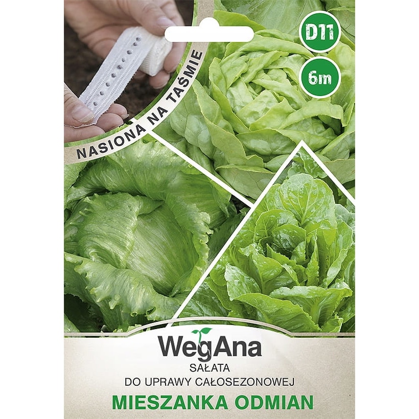Salata verde, amestec de soiuri verzi, seminte pe o centura de 6 m ...