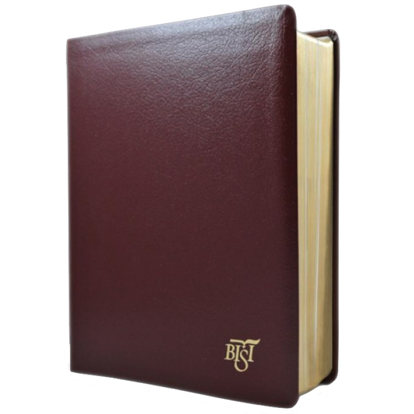 Biblia de studiu inductiv, coperta visinie, margini aurii, Dumitru ...