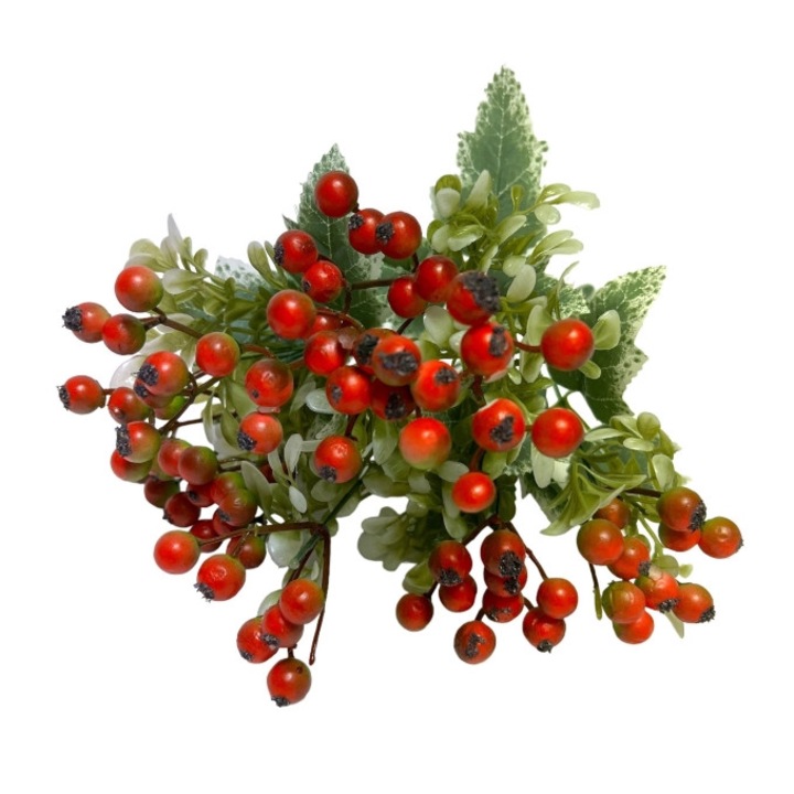 Buchetul de scoruse lacuite cu frunze brumate, polistiren/plastic ...