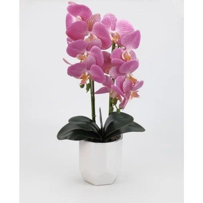 Orhidee artificiala in ghiveci ceramic 50x12 cm - eMAG.ro