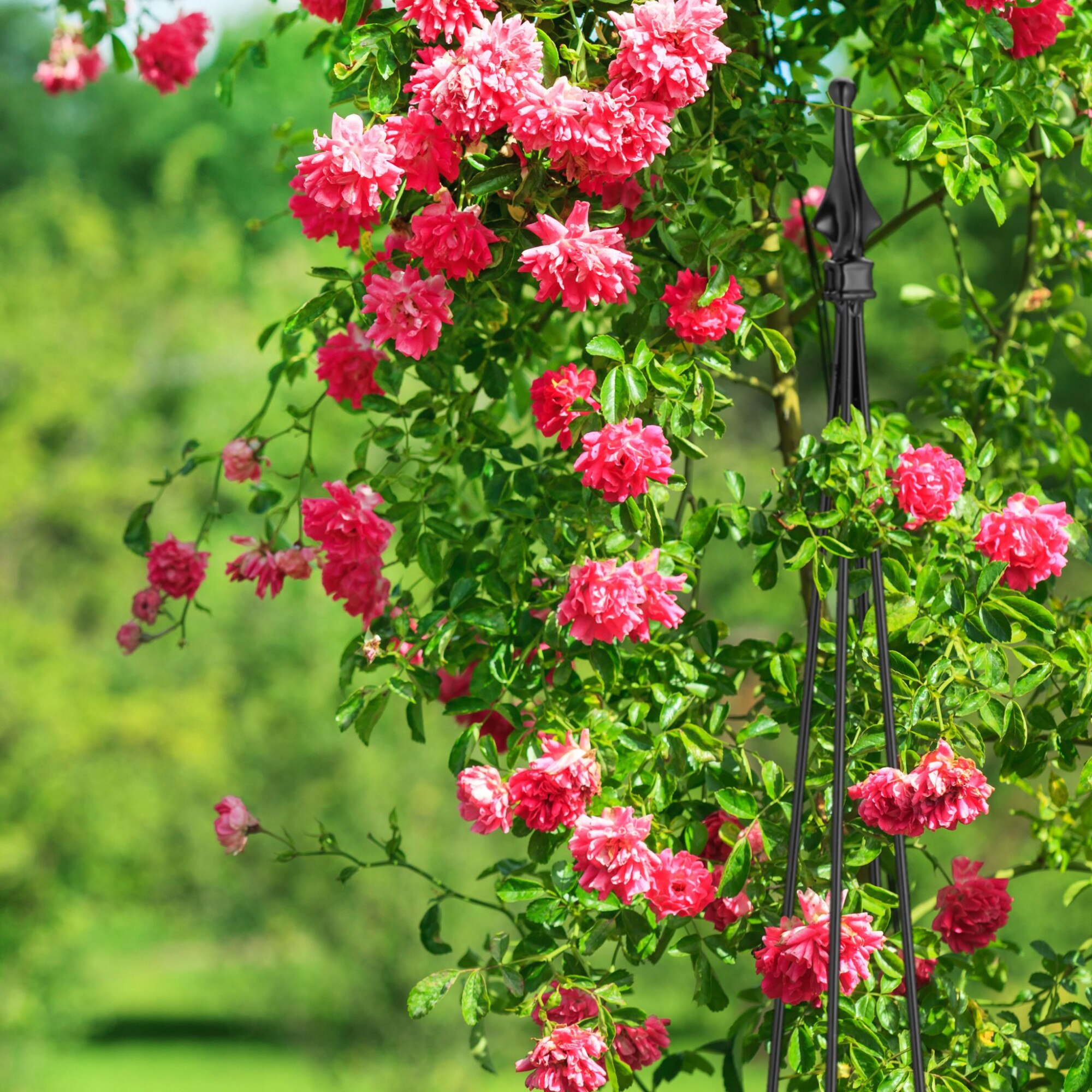 Set 2 arcade metalice de gradina, Relaxdays, negru, 120x16x16 cm - eMAG.ro