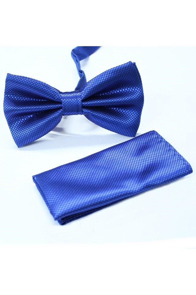 Set papion si batista pentru sacou, albastru, 12 x 6.5 cm, Ryan Keeper ...