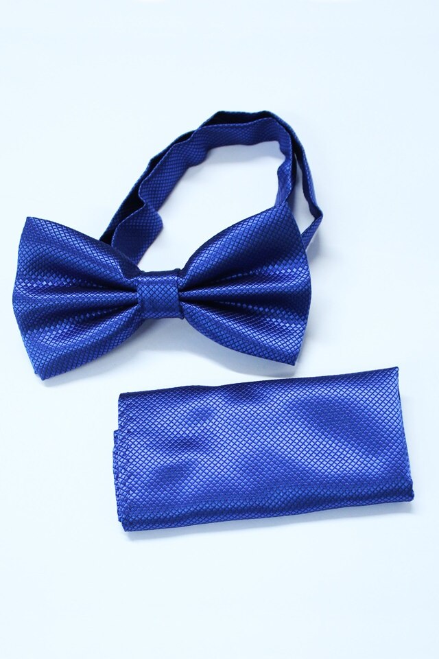 Set papion si batista pentru sacou, albastru, 12 x 6.5 cm, Ryan Keeper ...