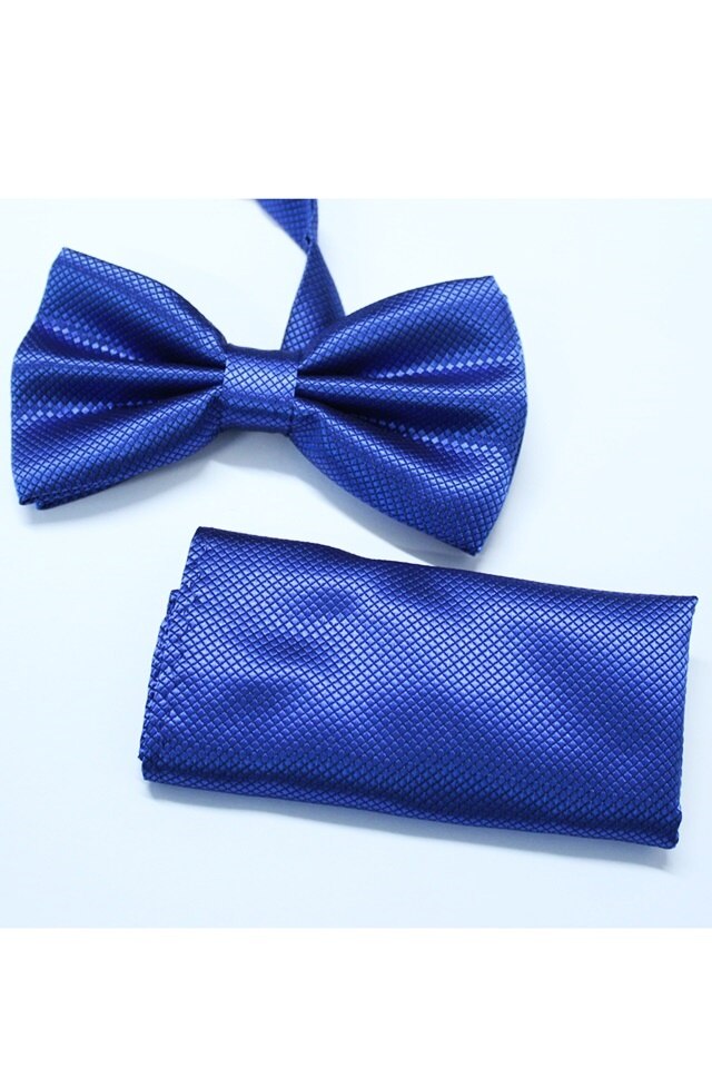 Set papion si batista pentru sacou, albastru, 12 x 6.5 cm, Ryan Keeper ...