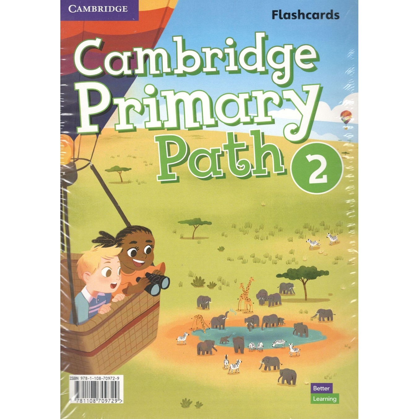 Cambridge Primary Path Level 2 Flashcards ; Cambridge - eMAG.ro