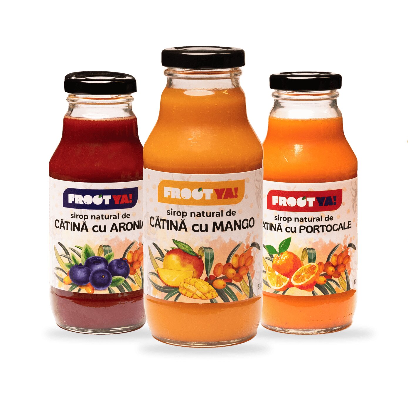 Pachet sirop Catina cu Aronia, cu Mango, cu Catina, FROOTYA, 3 sticle x ...