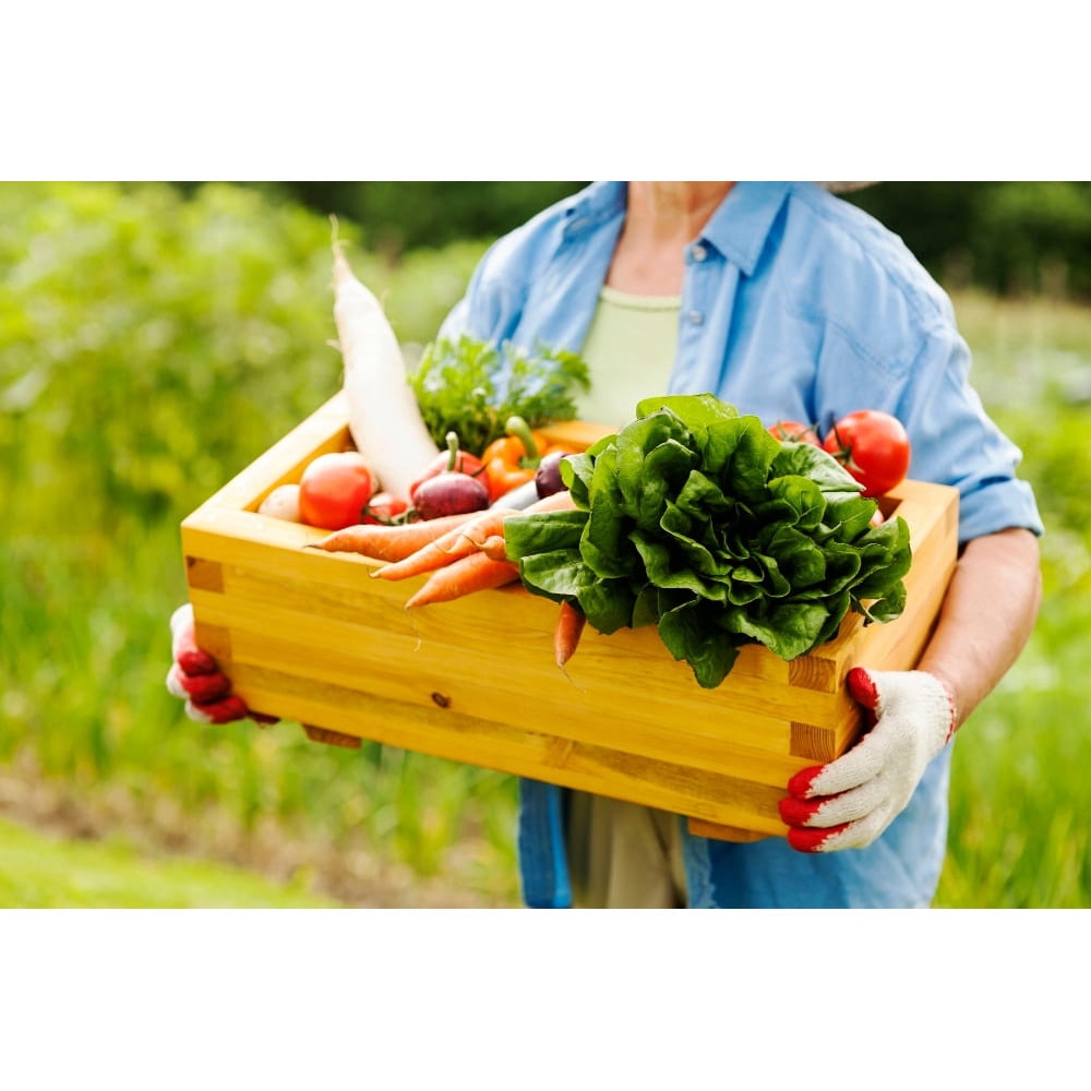 Ingrasamant calciu-magneziu Planta Dolomit, 10kg - eMAG.ro