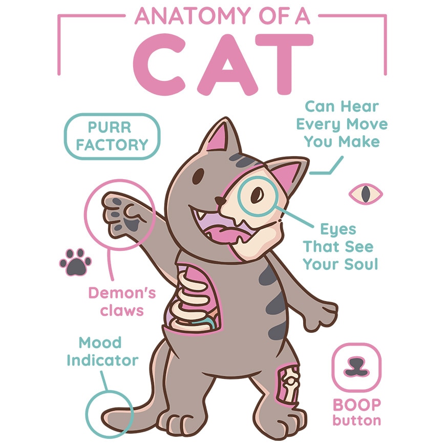 Sticker Cu Text In Engleza Anatomy Of a Cat, Pisica Cu Zamet Larg ...