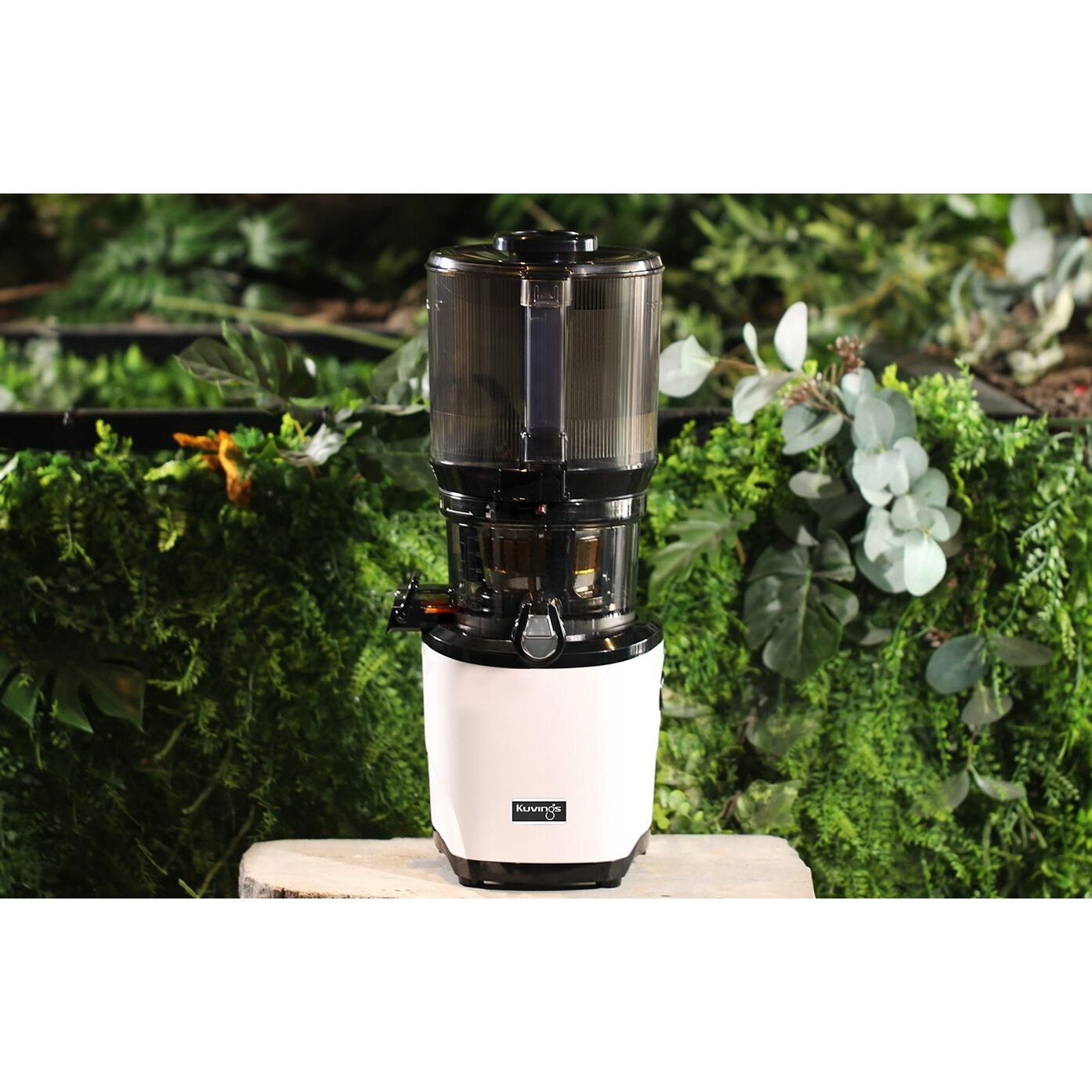 Storcator De Fructe Si Legume, Kuvings, Auto 10, 200 W, recipient 3l ...