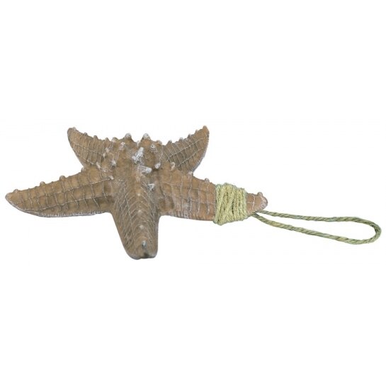 Stea de mare decorativa, rasina pictata, 21x21x6cm - eMAG.ro