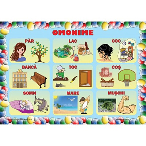 Set planse - Omonime - 3 planse 50x70cm - eMAG.ro