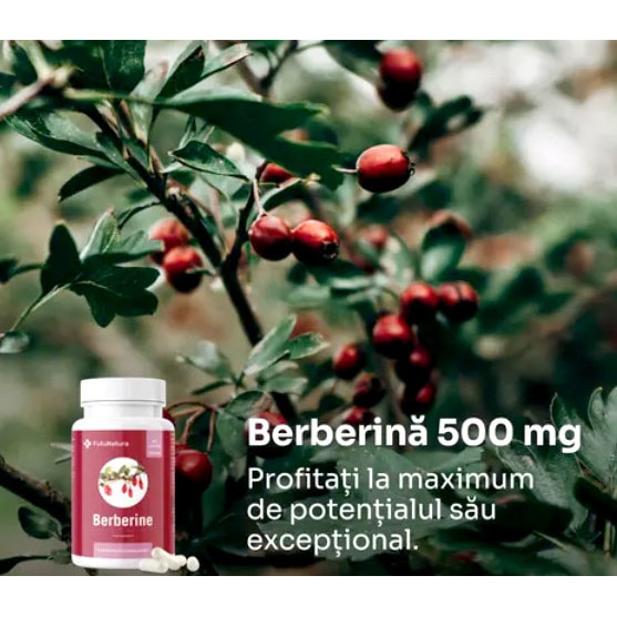 Berberina 500 mg, 90 capsule, extract de Berberis aristata, afin indian ...
