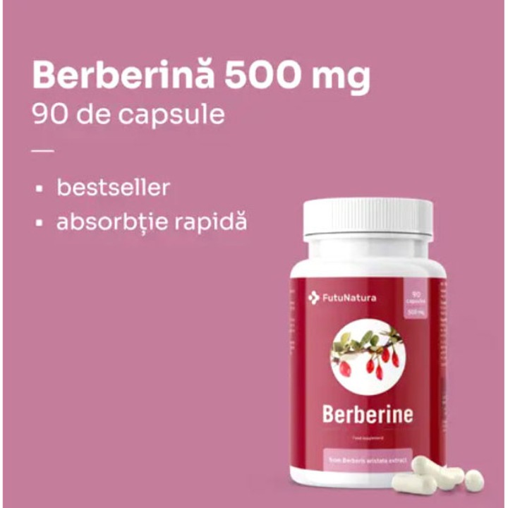 Berberina 500 mg, 90 capsule, extract de Berberis aristata, afin indian ...