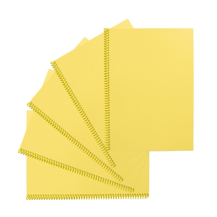 Set 5 caiete studentesti dictando, CopyBoom, A4, 100 file, spirala si ...