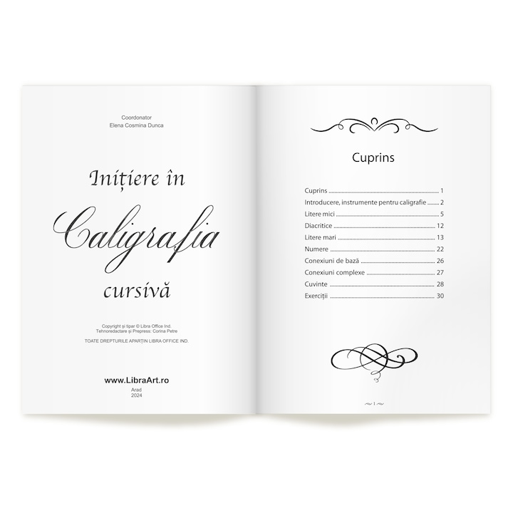 Initiere in Caligrafie cursiva, caiet A4, 32 pagini - eMAG.ro