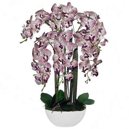 Orhidee artificiala Medaya® in ghiveci ceramic alb, H 85cm, aspect ...