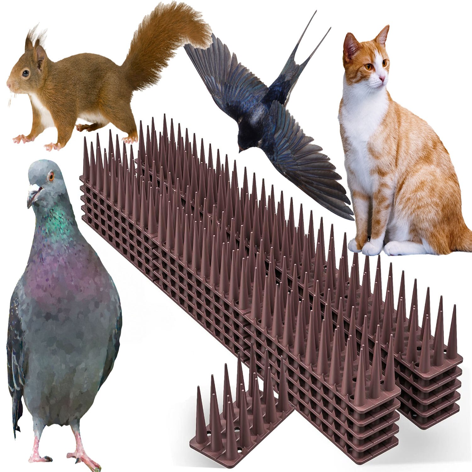 Tepi pentru pasari porumbei pisici contra pasari porumbei randunele 10 ...
