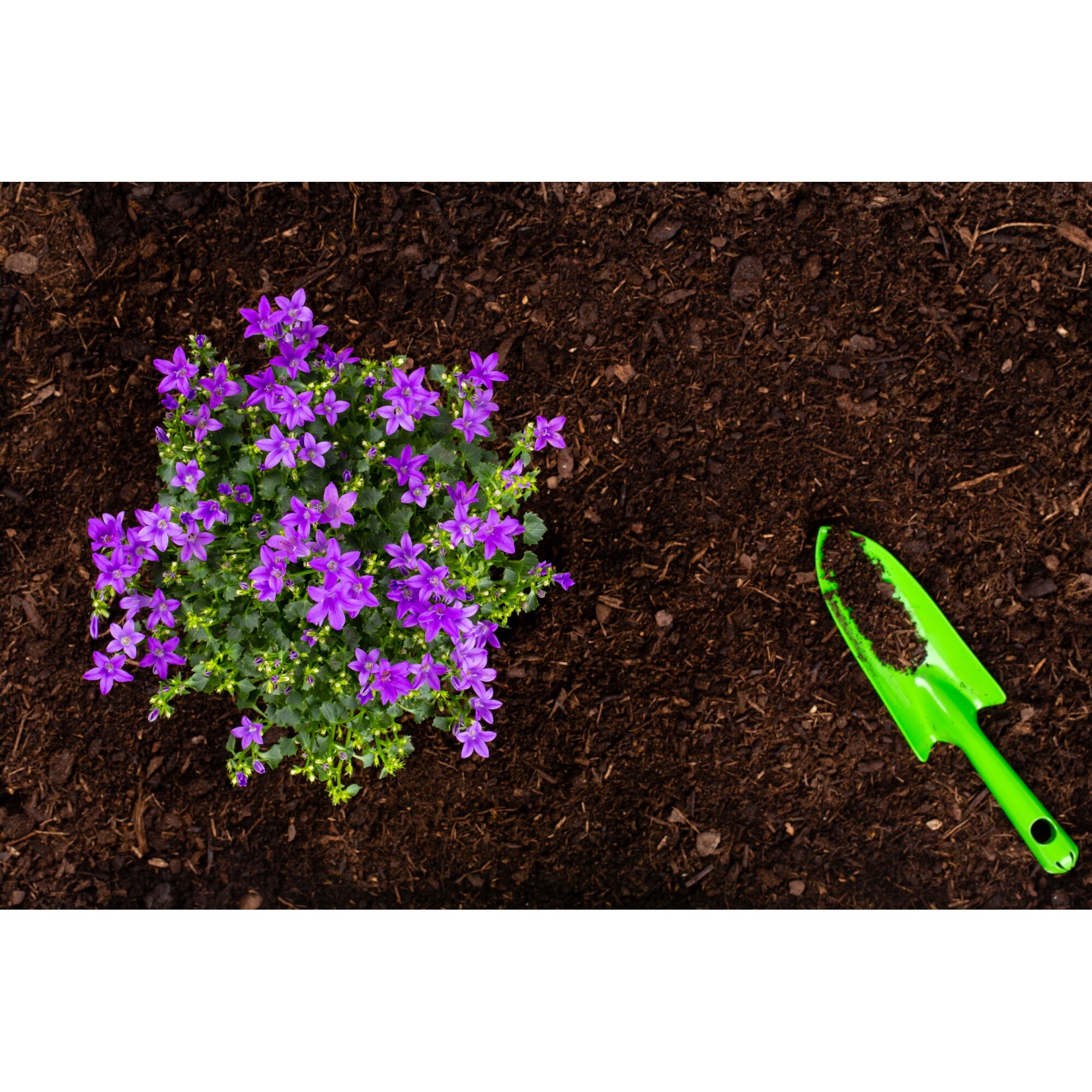 Sol universal Compo, 25L, usor si fertil - eMAG.ro