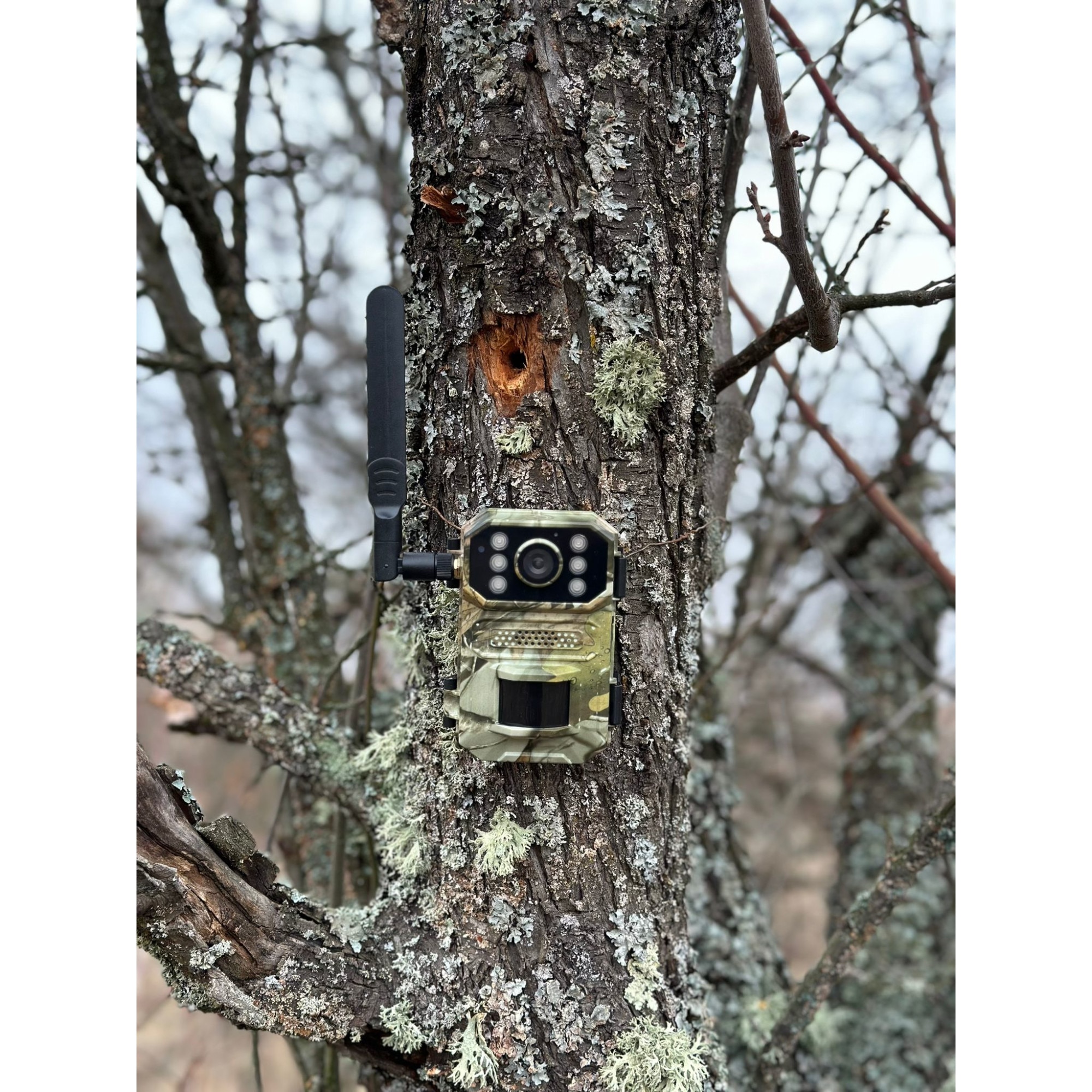 Camera vanatoare Forestvision Live A8 cu transmitere Live 4G, inclus ...