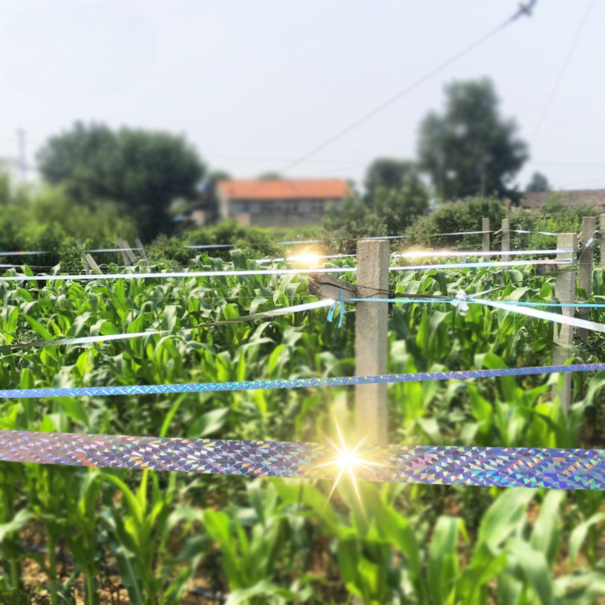 Banda reflectorizanta anti pasari, porumbei, grauri, ciori, rola 4.8 cm ...