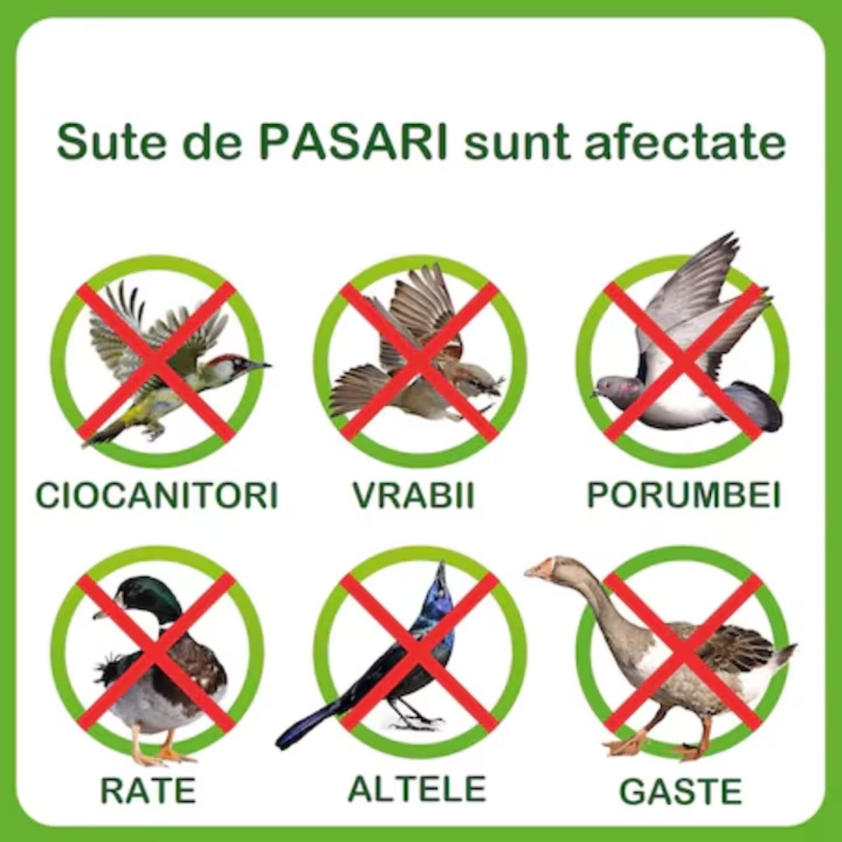 Banda reflectorizanta anti pasari, porumbei, grauri, ciori, rola 4.8 cm ...