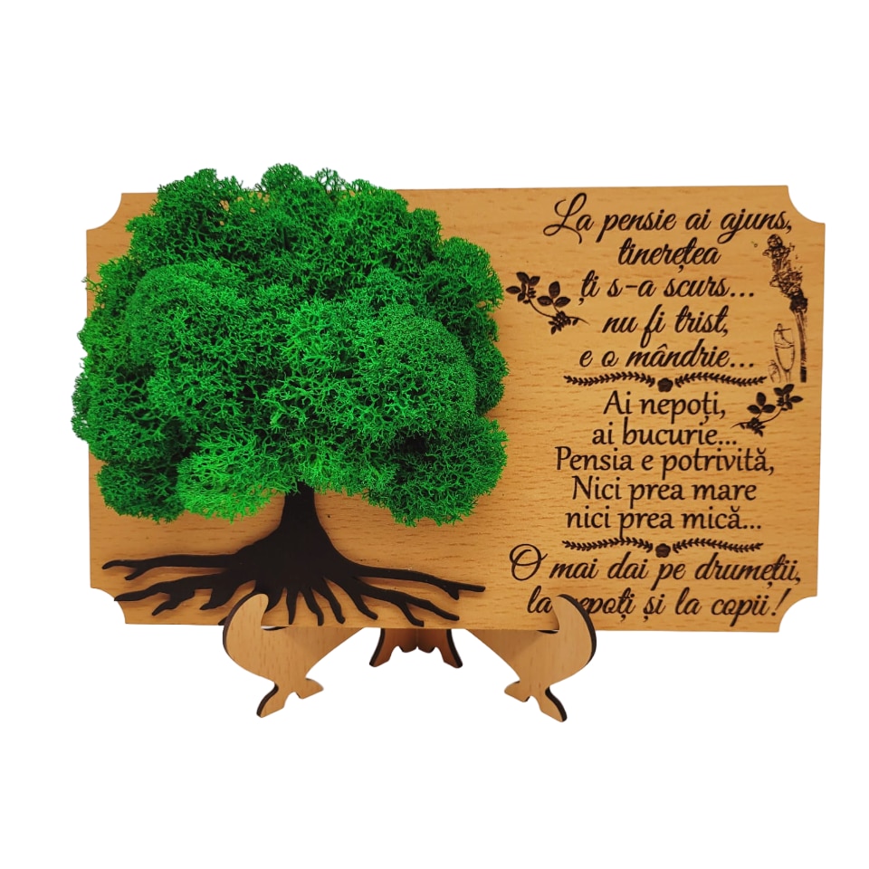 Tablou cu licheni personalizat cu mesaj de pensionare pentru Bunici ...